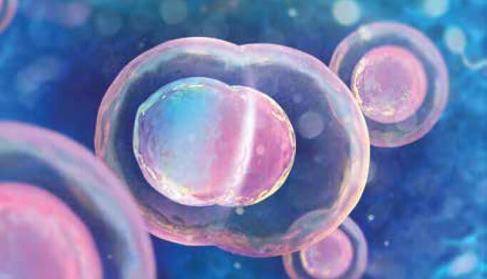Κρυοσυντήρηση Ωαρίων | IVF REA