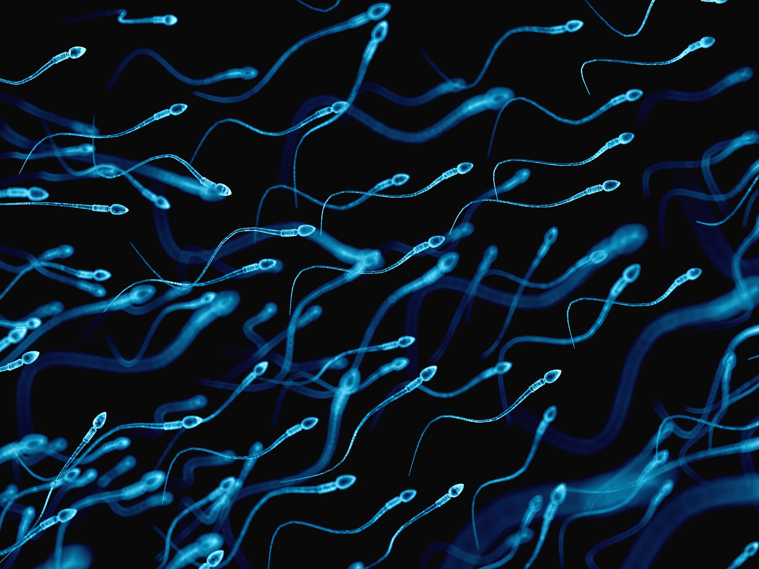 Δωρεά Σπέρματος | IVF REA
